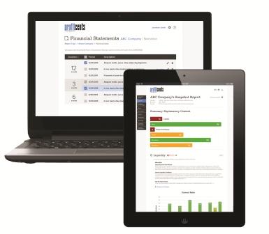 Financial Analysis | Industry Benchmarking | Forecasting | Analytical ...